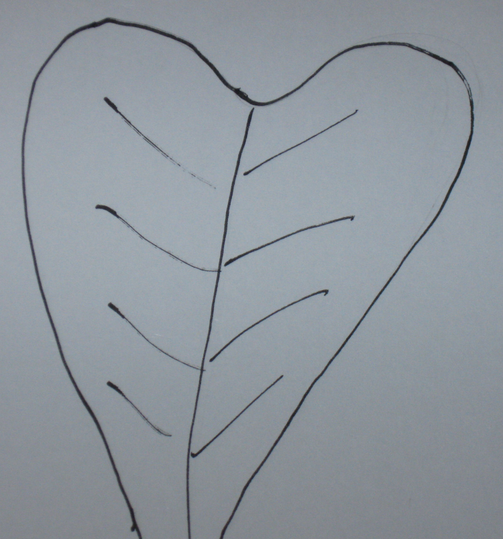 Cyprus Wild Flowers Database